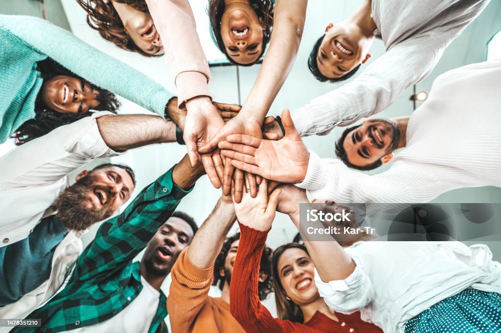Team building – South Coast Veterinary Management Solutions