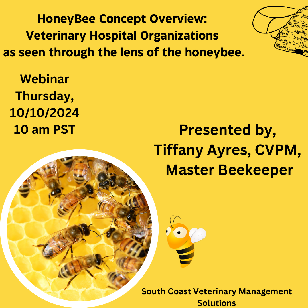HoneyBee Concept Overview: Veterinary Hospital’s as seen through the ...