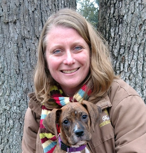 Tiffany Head Shot with Saybee – South Coast Veterinary Management Solutions