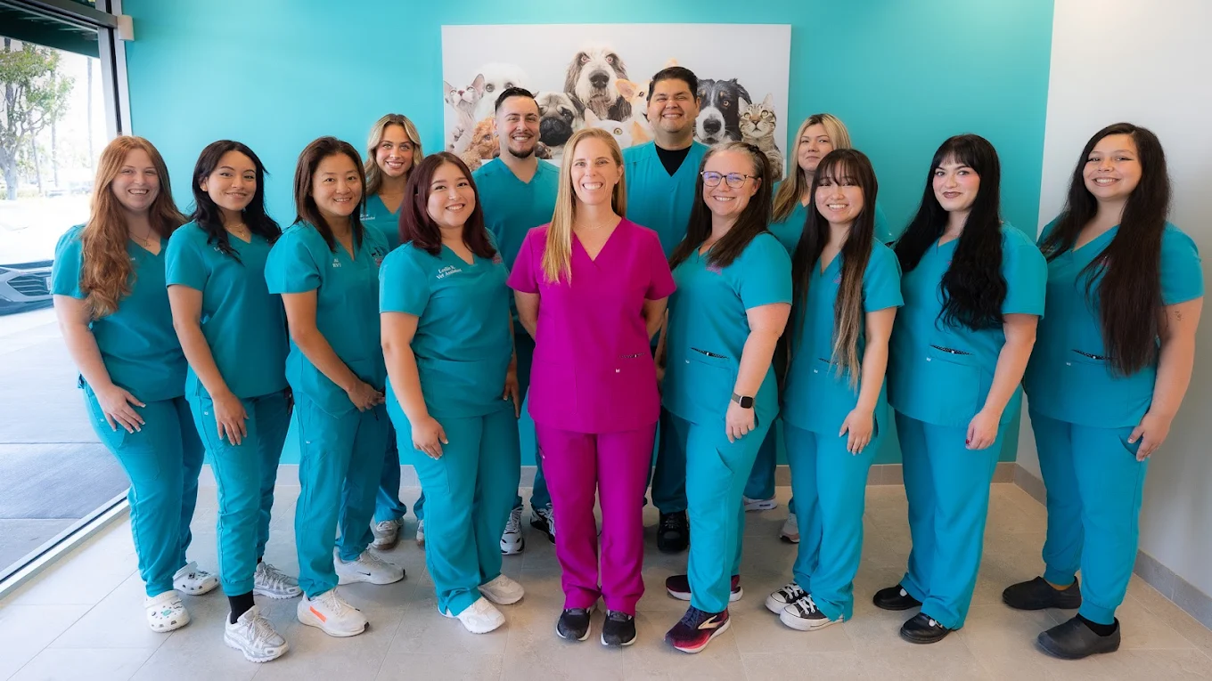 Join Our New Veterinary Hospital as a Practice Manager Today!